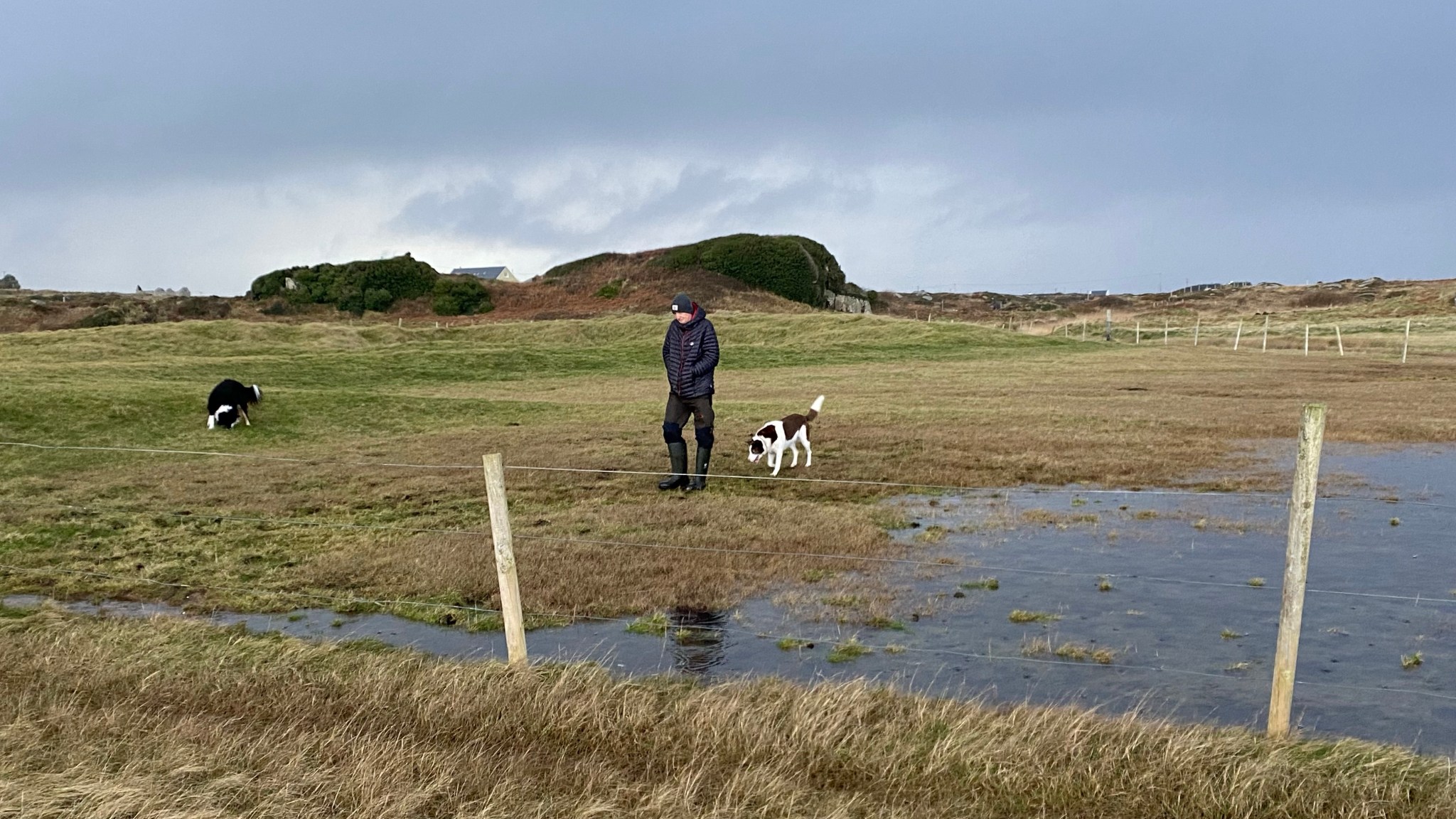 donegallizdoyle | A painter's diary of life in the rugged North West of ...